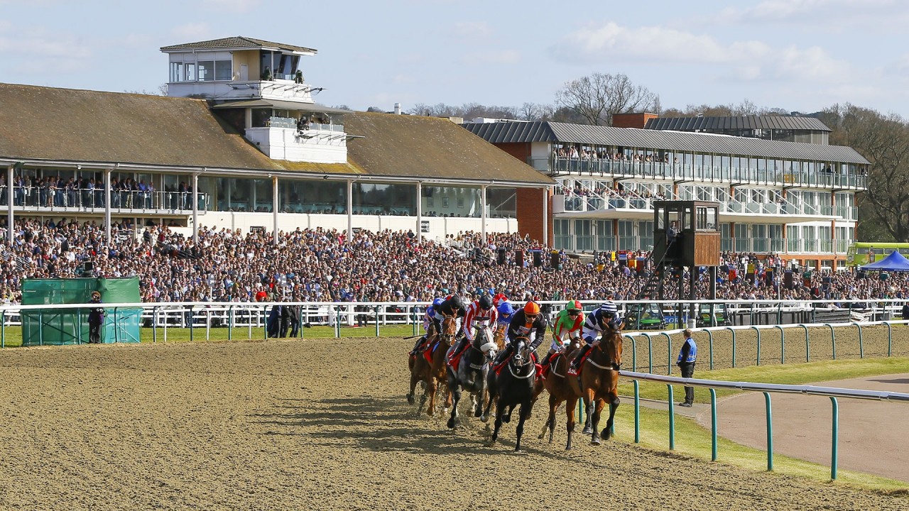 Horse Racing Tips: Racing League Race Day 3 from Lingfield Tonight