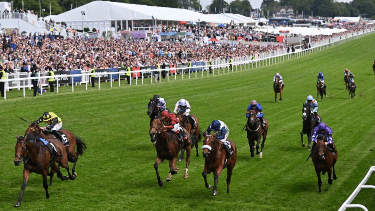 Horse Racing NAP of the Day | Today's Best Single Bet